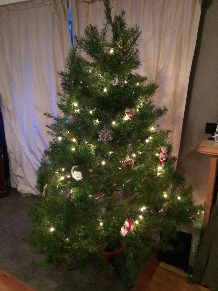 The Christmas Tree Profile - The Big To-Do List