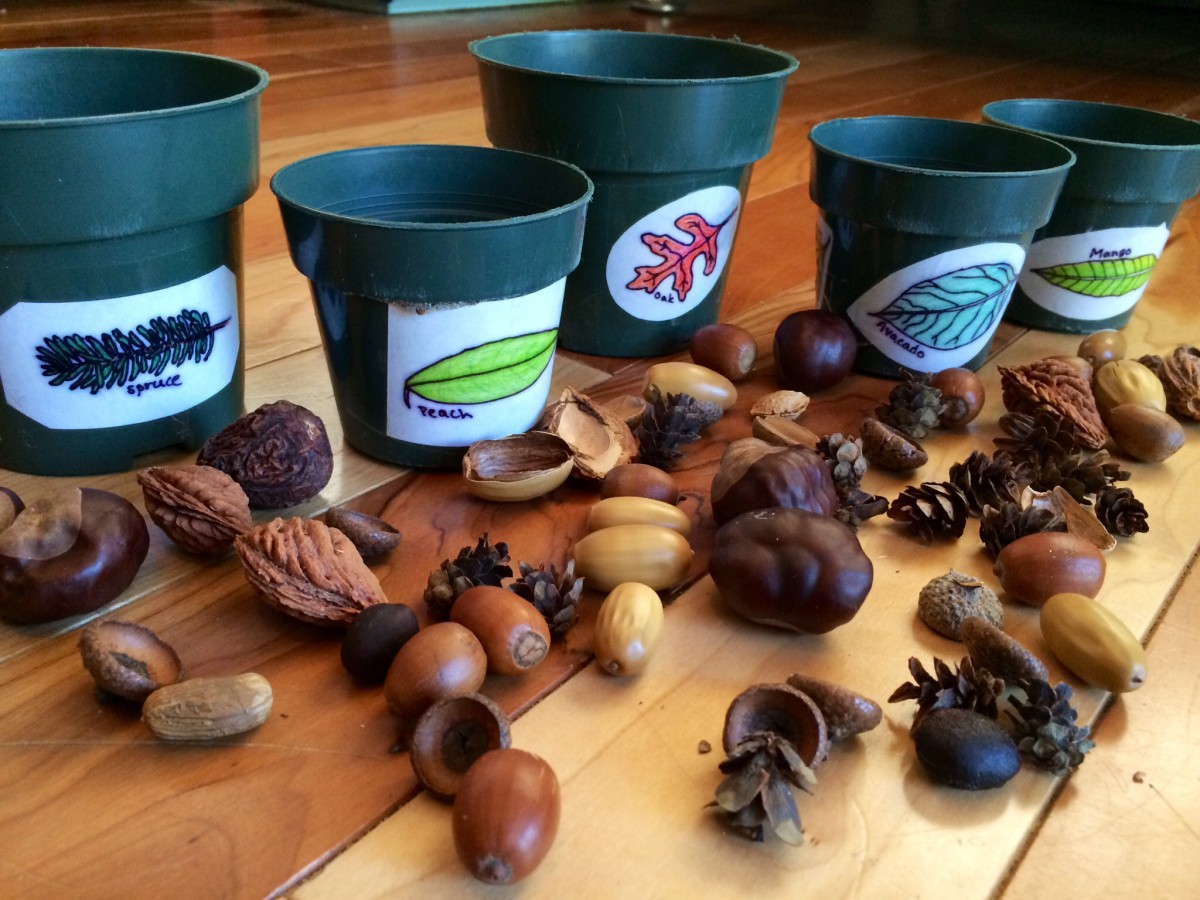 45 Things To Do Outside - Outdoor Learning