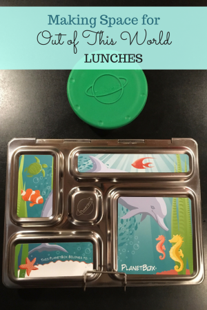 PlanetBox Rover Stainless Steel Non-Toxic Lunch Box Review