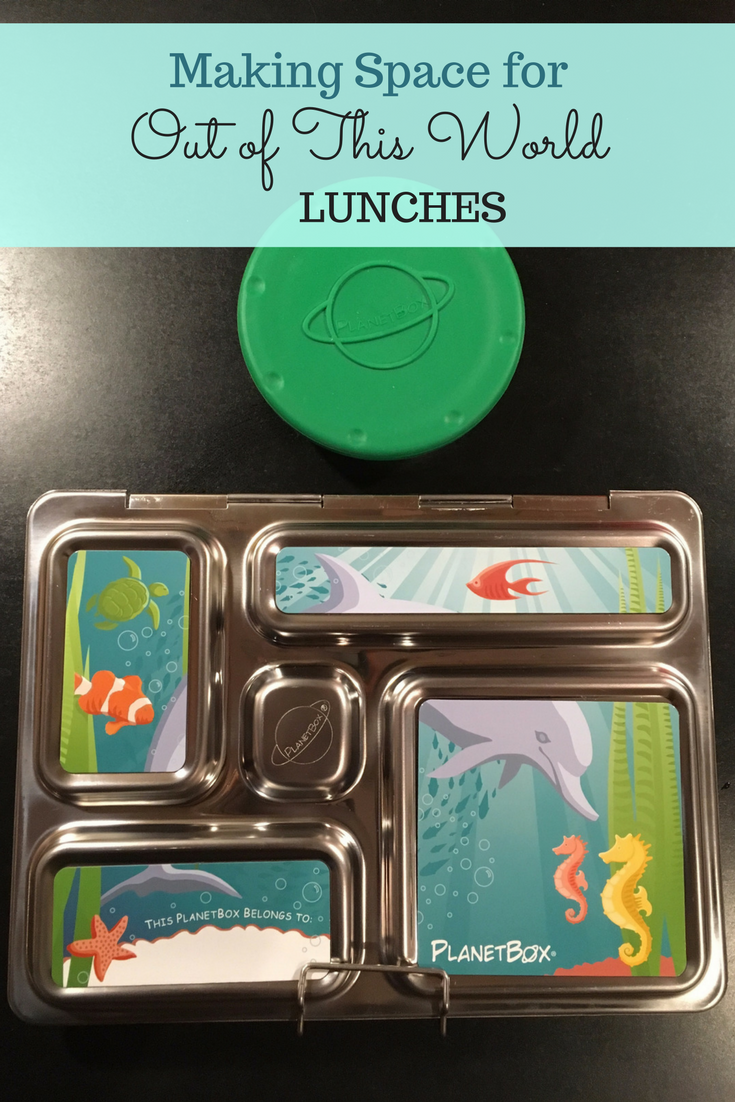 PlanetBox Rover Stainless Steel Non-Toxic Lunch Box Review
