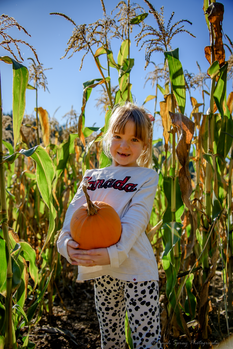 Salt Spring Island Pumpkin Patch Picking 2020 - The Big To-Do List